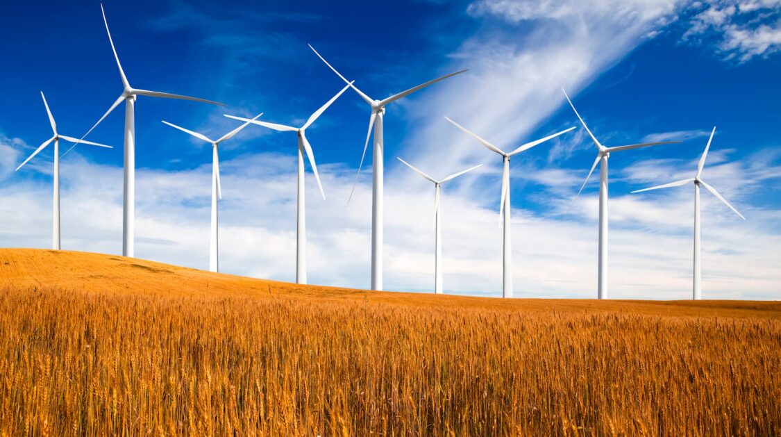 The Benefits of Eco-Friendly Energy Sources - Pure Power