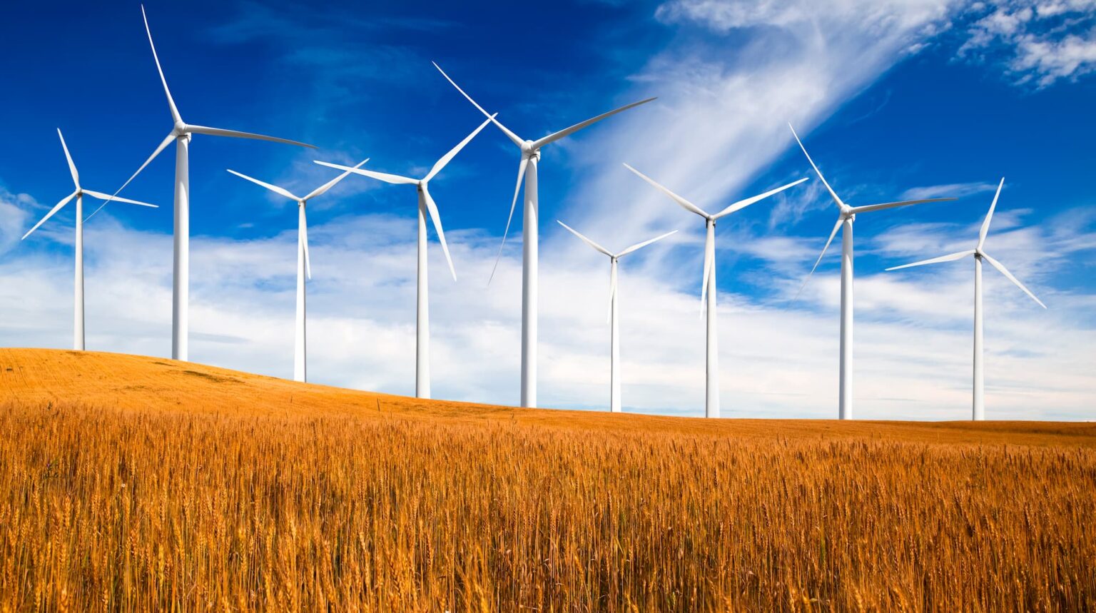 The Benefits of Eco-Friendly Energy Sources - Pure Power